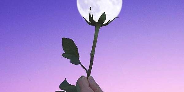 NNJJN: 포스타입 채널