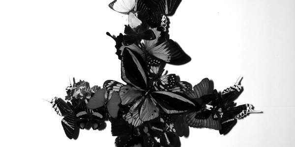 Angel z - 시리즈 1페이지