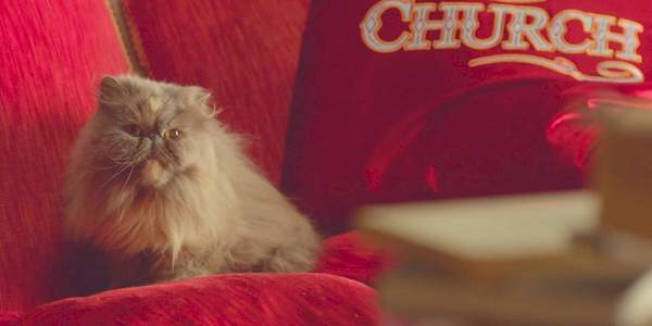 nonever: 포스타입 채널