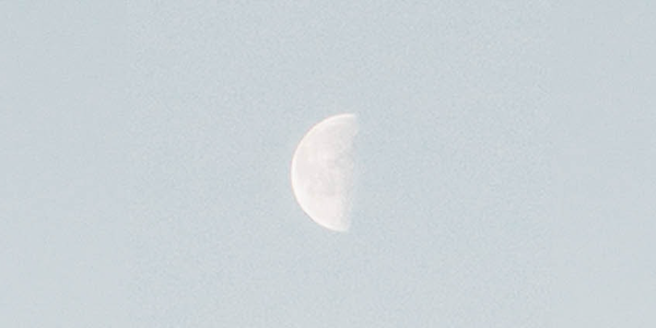 bittersweet - 포스트 1페이지