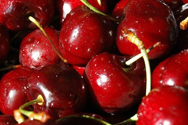 Dear Cherry: 포스타입 채널
