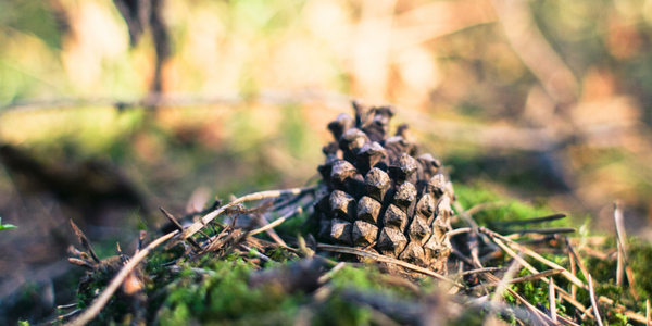 sweet Sol-tree - 포스트 1페이지