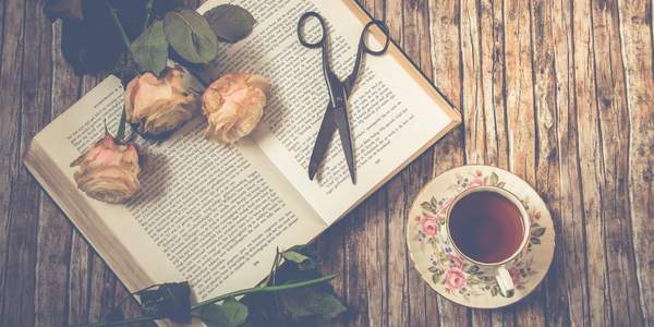 ℜ𝔬𝔱𝔢𝔞: 포스타입 채널