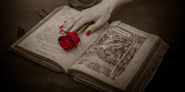 ℜ𝔬𝔱𝔢𝔞 - 포스트 1페이지