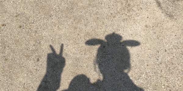 이름을 모르는데 어떻게 인사할 수 있겠어요: haehae town