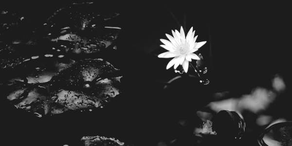 마왕1화: on stage