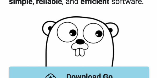 Apple Silicon M1 macOS에서 Golang 개발환경 구축: CPUU의 Daydreamin'