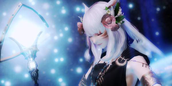 Lunaris Argenia: 꾸러미