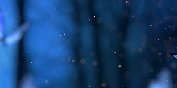 Rita Poshun / 니드호그 / 센티넬 - 염력: community