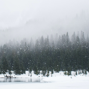 임무 보고: 𝐭𝐞𝐧𝐮𝐨𝐮𝐬𝐥𝐲 𝐝𝐫𝐚𝐰𝐧, 𝐬𝐜𝐢𝐧𝐭𝐢𝐥𝐥𝐚𝐭𝐢𝐧𝐠 𝐝𝐚𝐰𝐧.