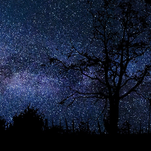 [황호의신]다망한날: BRS