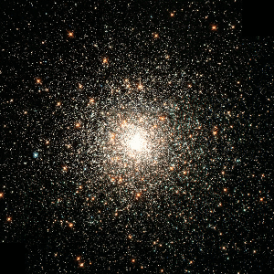 Profile - Ruse (2): Rising Twilight