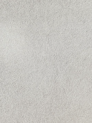 하스) 금선: 100UP