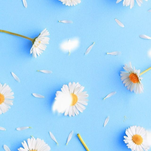 [국민] 스쿨 러브 어페어! 02: Yumarie Garden