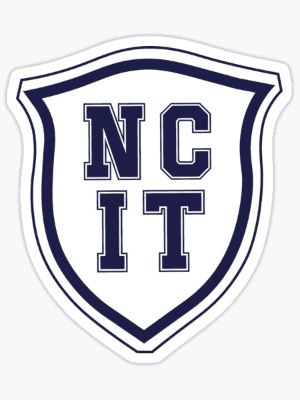 개발자 코드 : NCIT: 지상