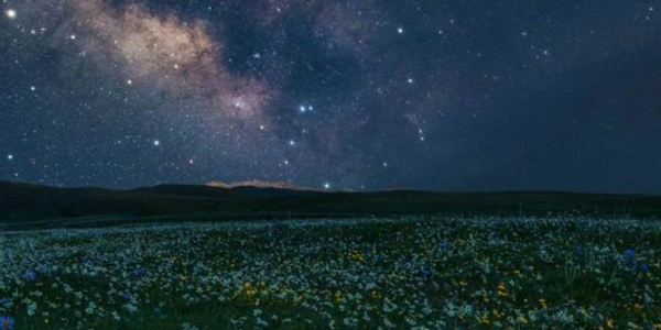 Eleanor B.: 포스타입 채널