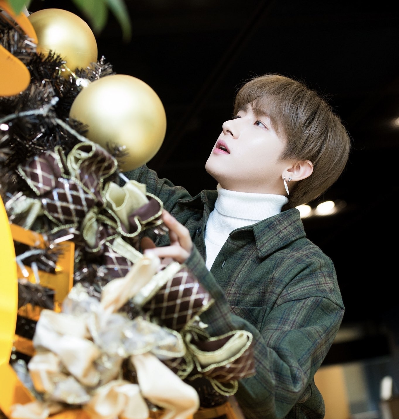 Mistletoe: NPSMX-SMO