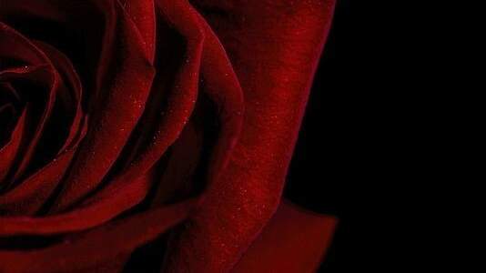 ℛℯ𝒹 𝓉𝓇𝒶𝓅: 포스타입 채널