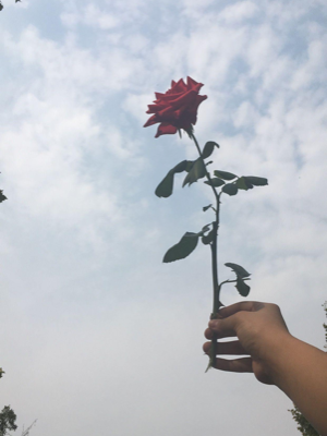 ENST 2차창작: 박물관의 기억