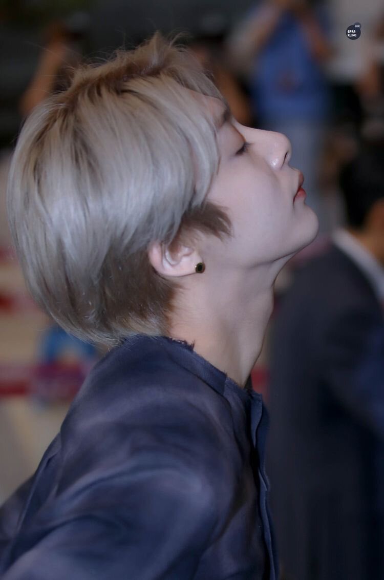 [예뻐해줘_뱀 사진 삭제 ver.] 10.5: NPSMX-SMO