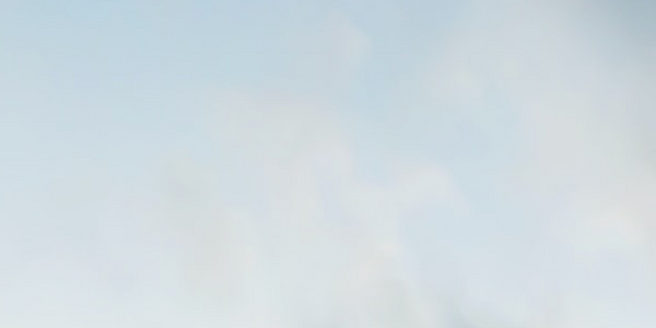 Happily Ever After: green