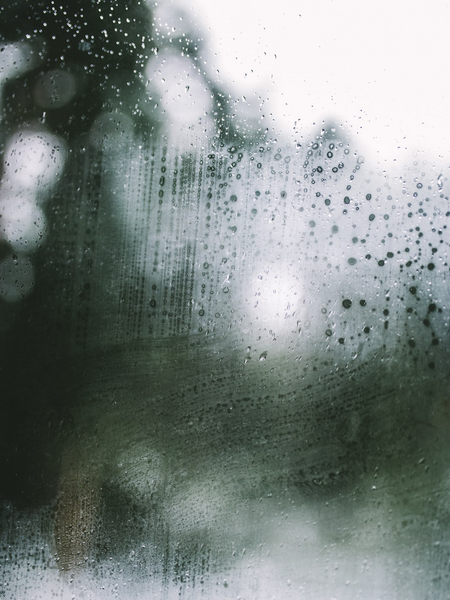 Lost Kin 한글번역: 유리상자