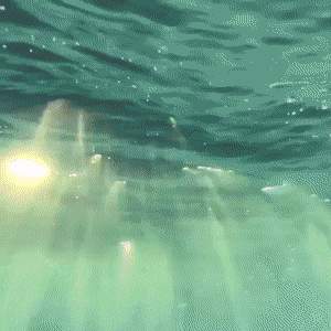 Cardo: 포스타입 채널