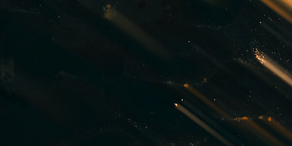 SHARD - 06: PARADOX.