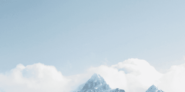 Dear. P: 𝘼𝙡𝙡 𝘿𝙤𝙜𝙨 𝙂𝙤 𝙩𝙤 𝙃𝙚𝙖𝙫𝙚𝙣.