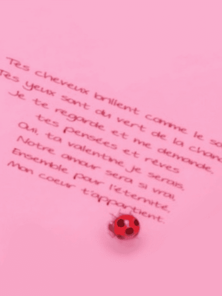 Ladybug [단편소설]: Ladybug