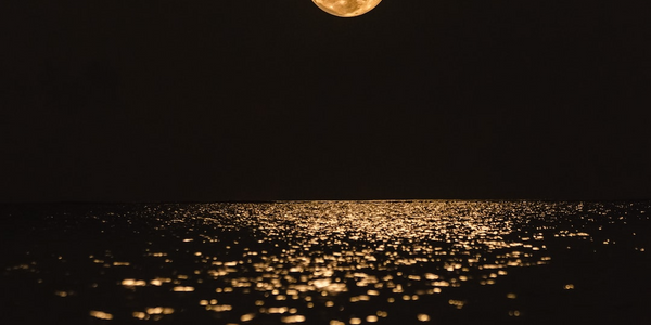 여친동생썰 4: rhrd 썰 공장