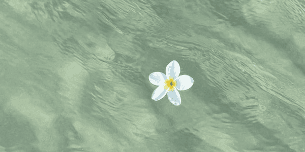 Broken J 1: The first story