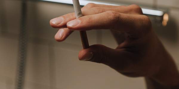 대진준기. 비늘: Love is an exploding cigar we willingly smoke