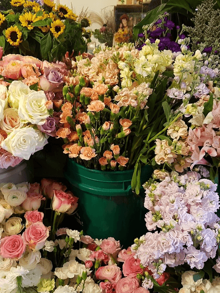 겨울의 다음 계절은: Shining Verbs