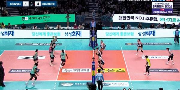 12.02(토) 16:00KOVO여 대전정관장 vs IBK기업은행: 스포츠베팅, 더 재미있게 즐기기!