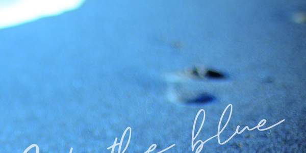 Into the Blue: Alice Complex Side. P