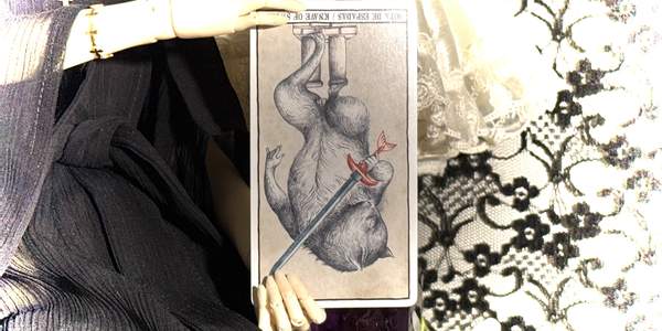 이번 주의 카드: Page of Swords reversed: 78 Roadsigns