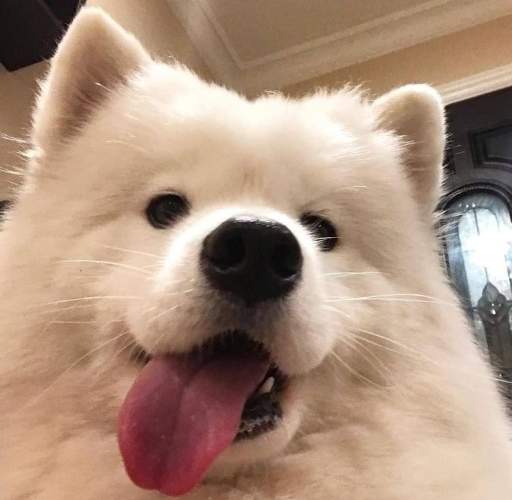 Countless Love: 포스타입 채널