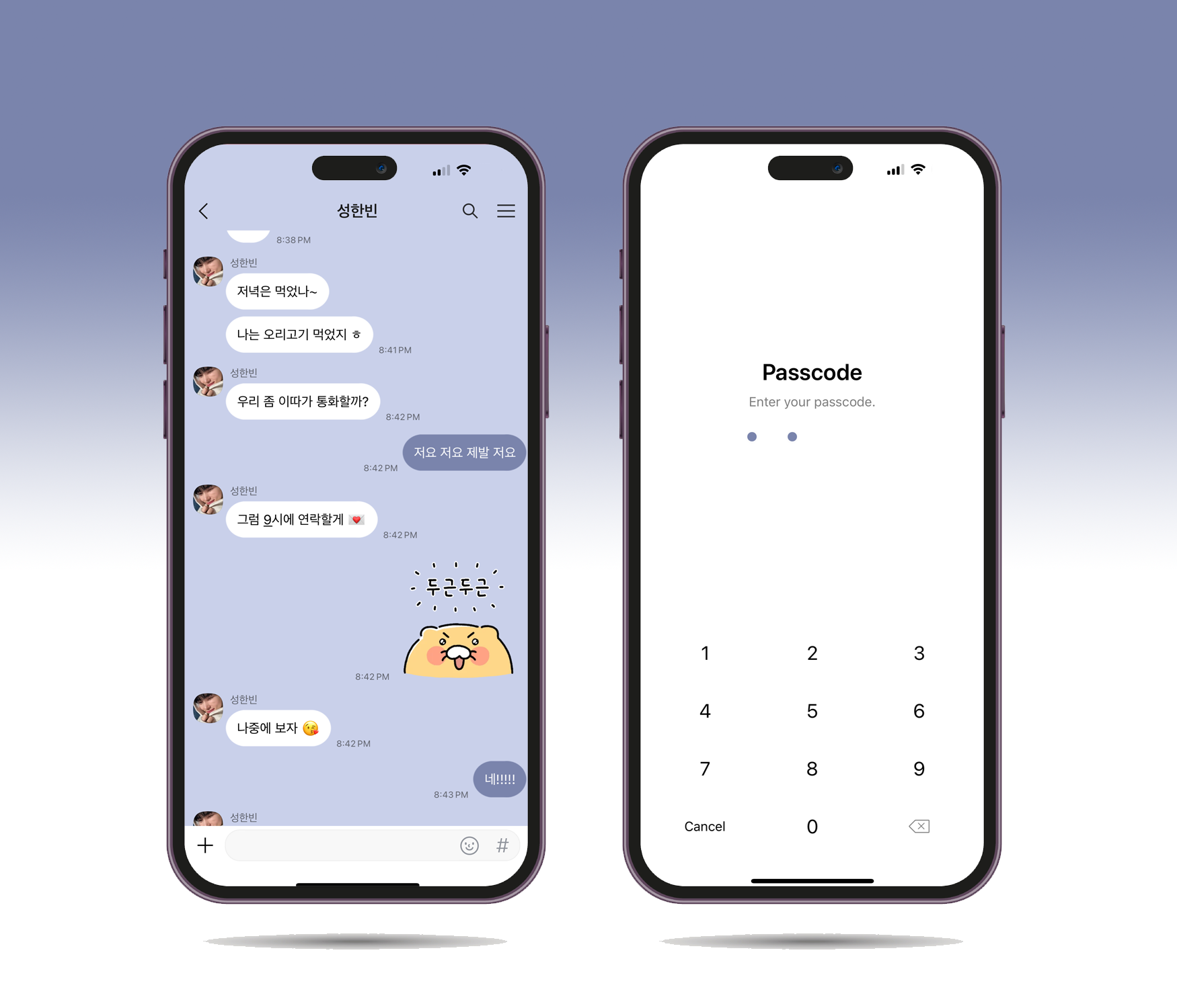 (ios) Plus Chat Kakaotalk Theme: sha256