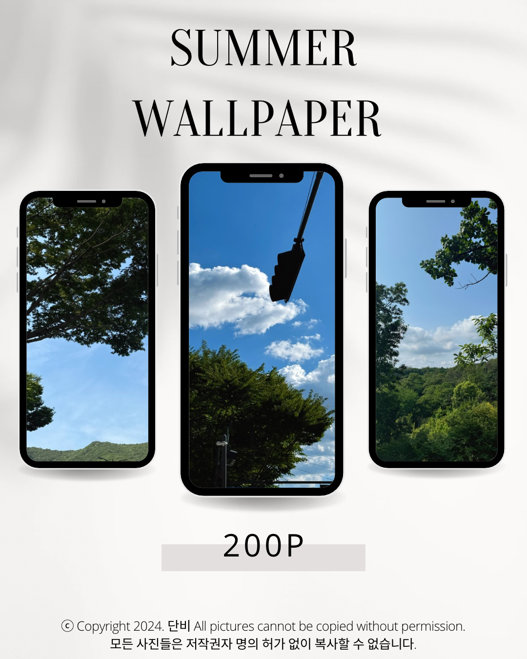[200P] 여름 배경화면 공유 🍃: 단비의 어느 날