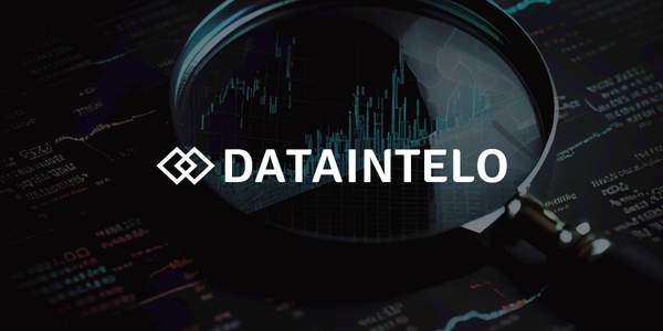 Caretaking Robots Market Size, Share & Trends Report, 2032: Dataintelo