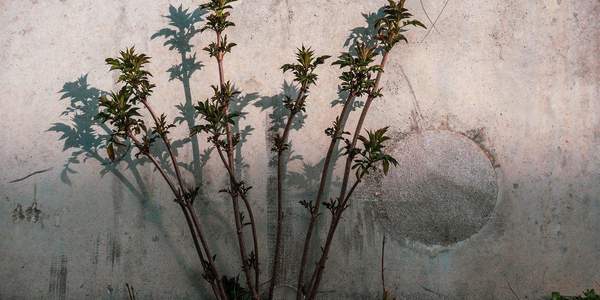 [중혁독자 / 금마독자] 소꿉친구들은 다 이러는 건가요?: JD 시점(러기)