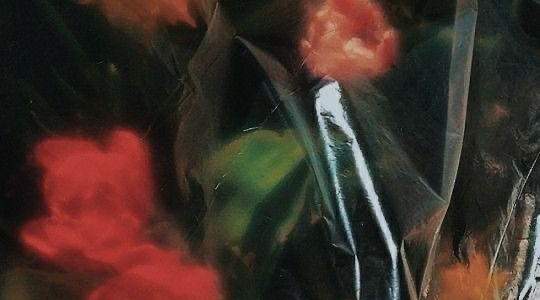 CherryKitty: 포스타입 채널