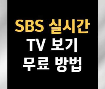 SBS 실시간 TV 무료 시청, 가장 쉬운 방법은?: 뉴스KR