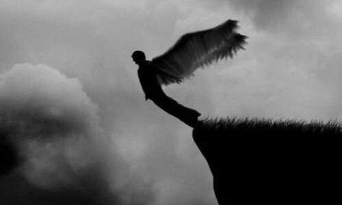 Dear things and you: Castrorpollux