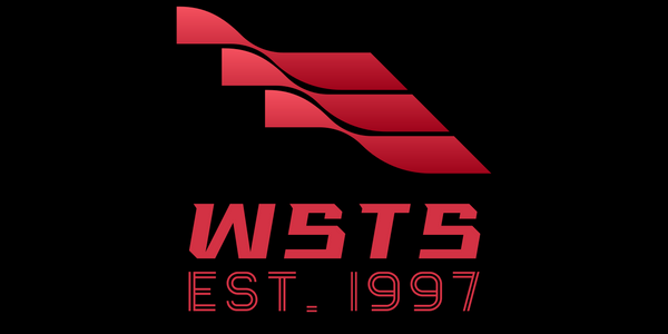 협력 작품 공개 - 2024/12/29: F1 WSTS : 우성태섭