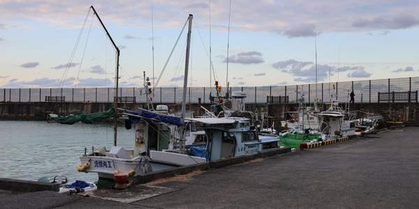 salty decades: 어쩌다