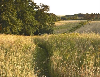 alien armpit: 포스타입 채널