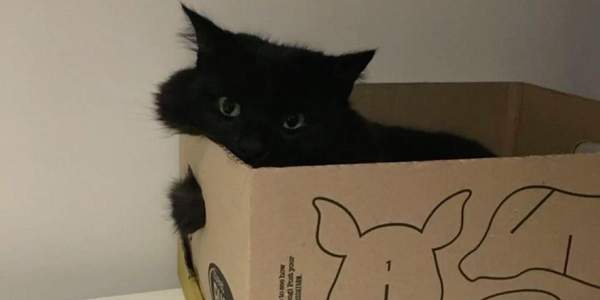 lllllll: 포스타입 채널