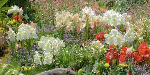 YJ: 포스타입 채널